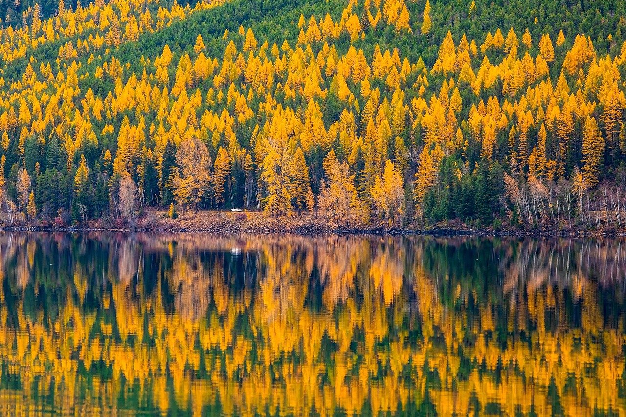 Experience Autumn in Montana: 5 Stunning Road Trips for Fall Foliage Lovers